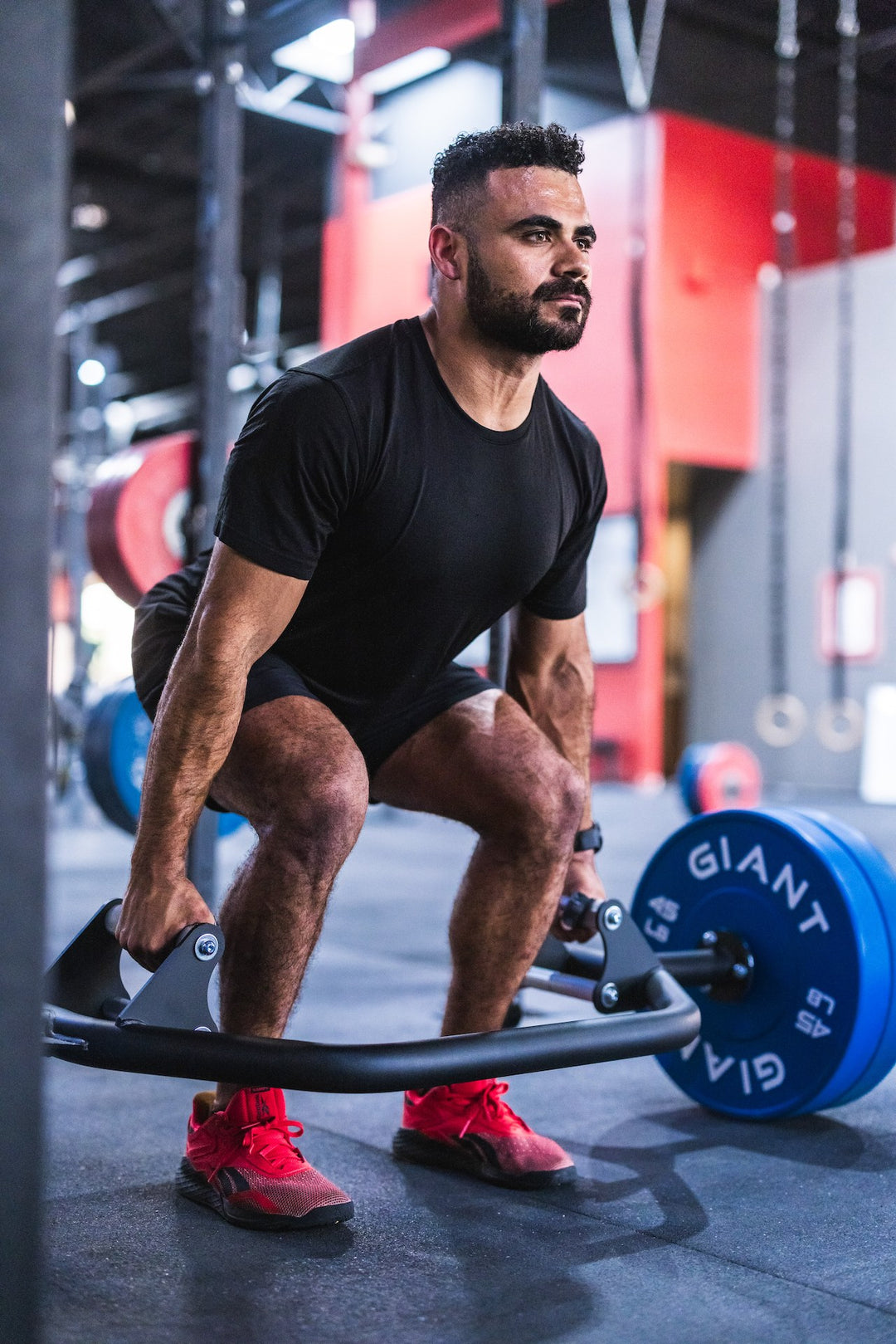 GIANT LIFTING // STRENGTH & CONDITIONING EQUIPMENT MANUFACTURER – Giant ...