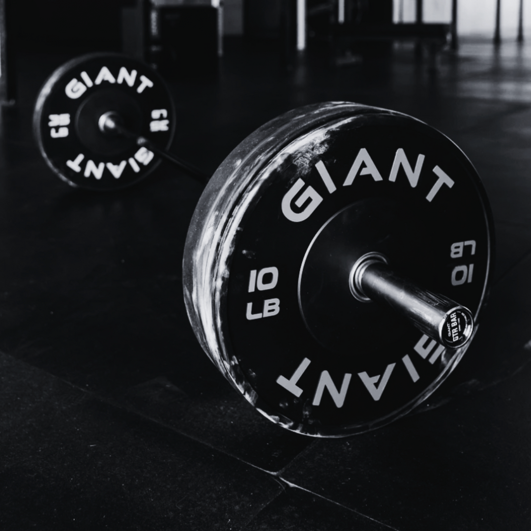 GIANT Base Bumper Plates 2.0 – Giant Lifting