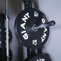 GIANT Weight Plate Storage Peg Pairs - 3X Series – Giant Lifting