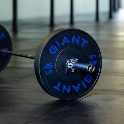GIANT LIFTING // STRENGTH & CONDITIONING EQUIPMENT MANUFACTURER – Giant ...