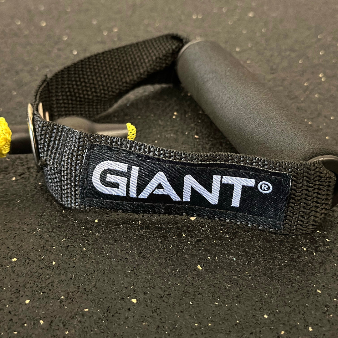 GIANT Tube Resistance Bands (Final Sale) – Giant Lifting